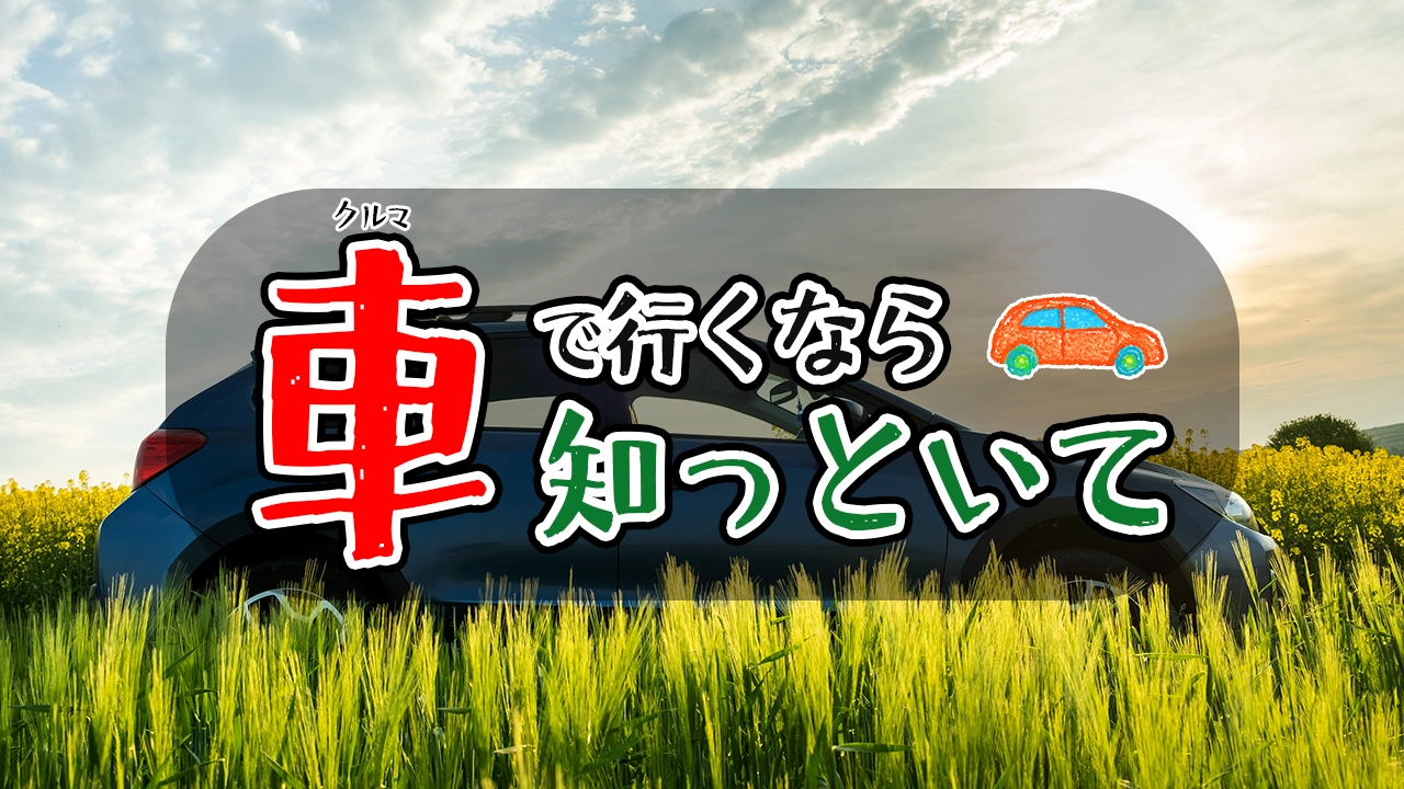 今日1月16日の東京イベント完全ガイド！7つの必見スポットと最新情報 - トンさんの車中泊日記